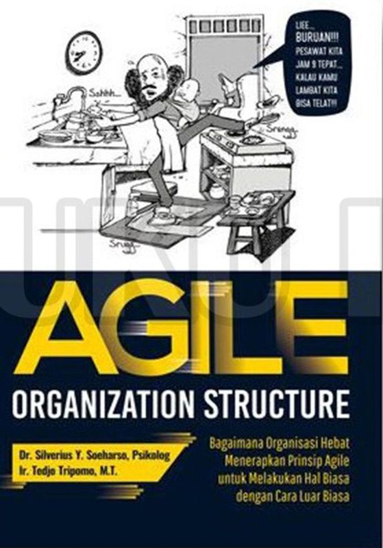 AGILE ORGANIZATION STRUCTURE