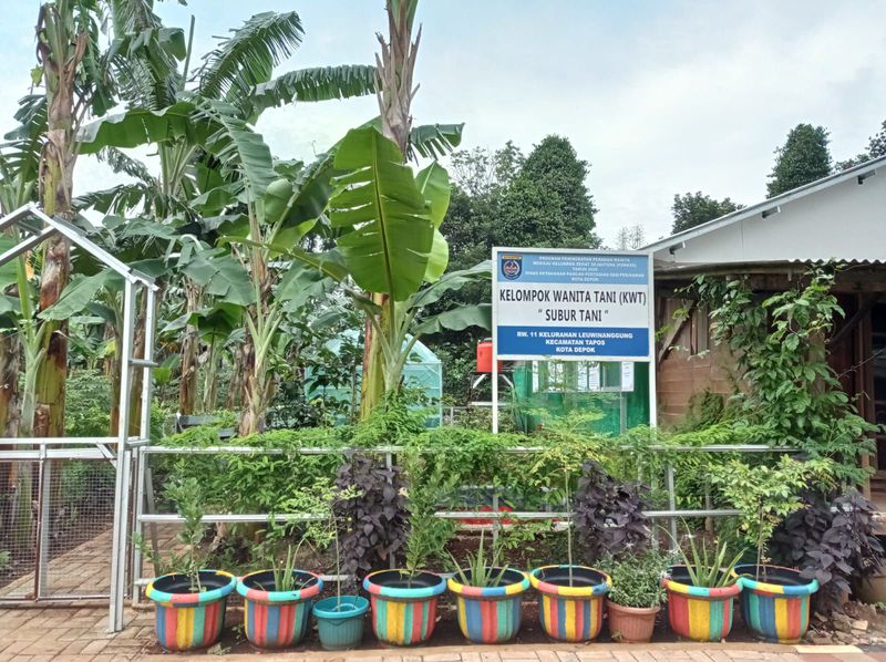 Demplot Pertanian Perkotaan