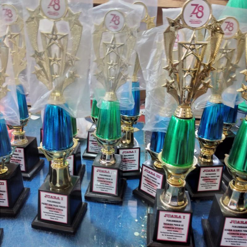 Tropy / Piala Ukuran Kecil