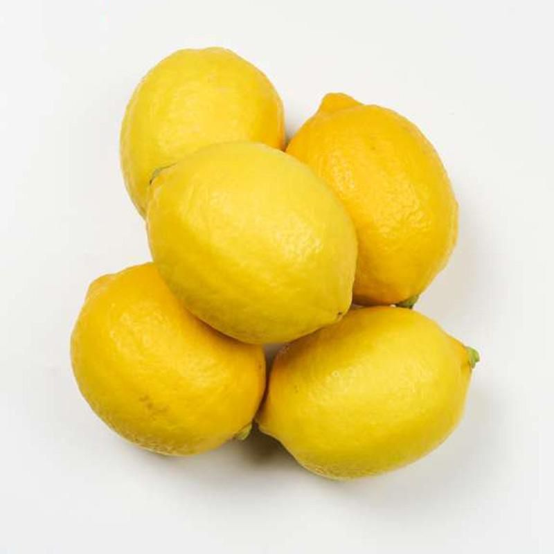 Lemon Import