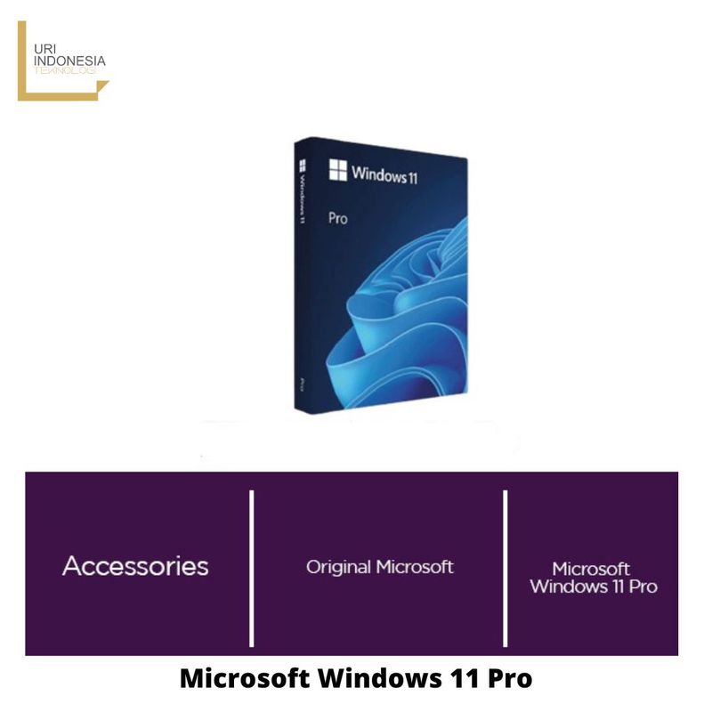 Microsoft Windows 11 Pro