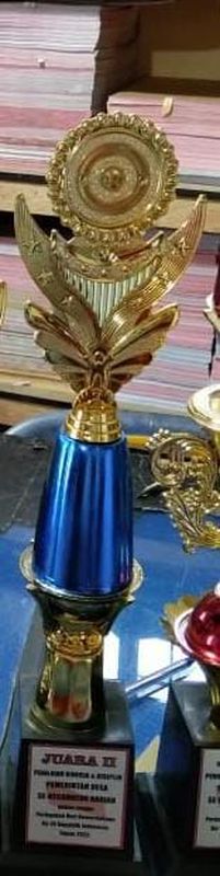 Tropy / piala ukuran sedang