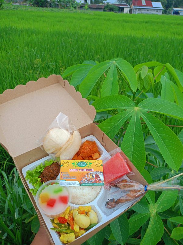 nasi box paket istimewa