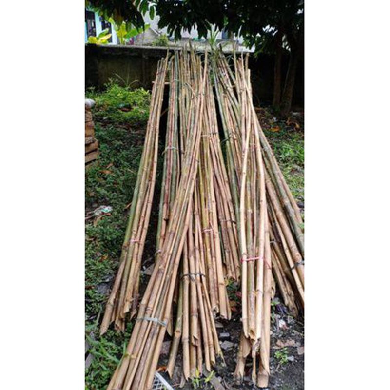 bambu