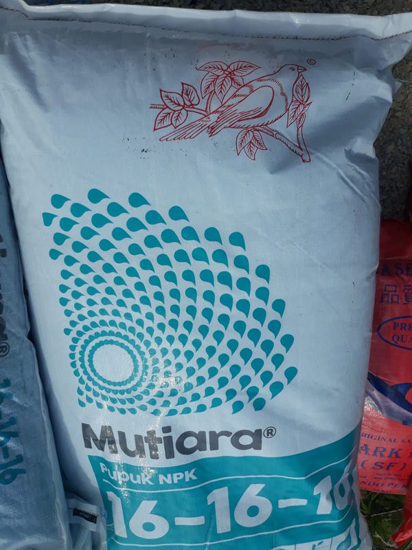 PUPUK NPK MUTIARA