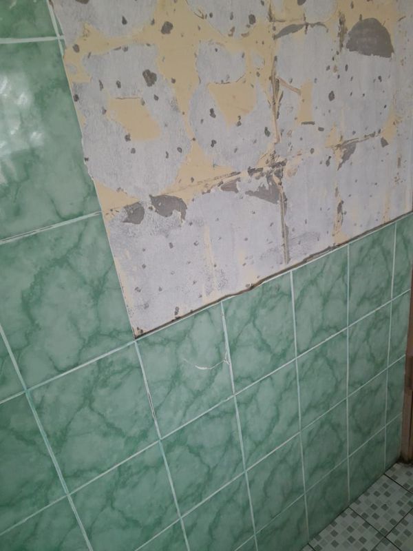 Perbaikan & Pemeliharaan Toilet