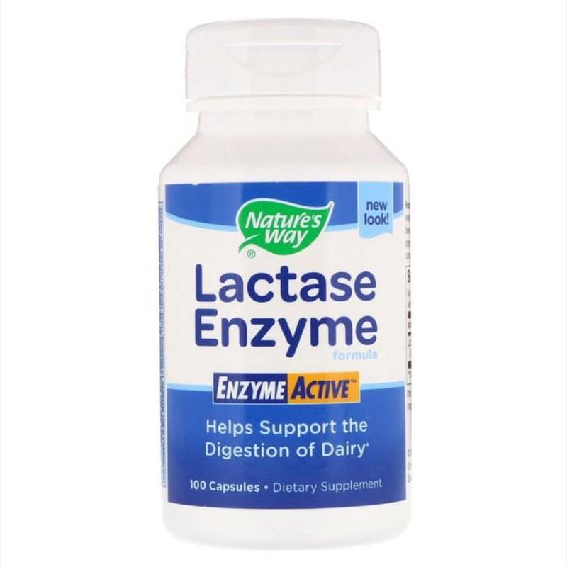 Lactase Enzyme