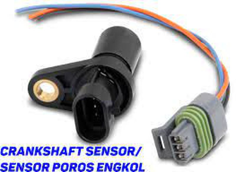 sensor CKP + socket