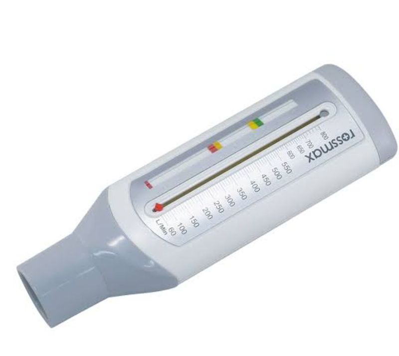 Peak flow meter