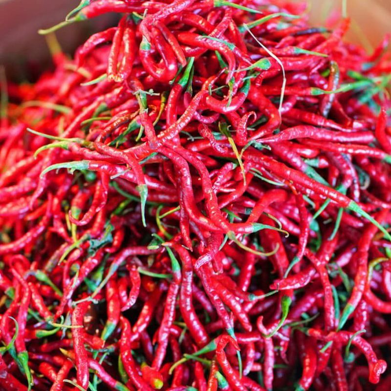 Cabai Merah