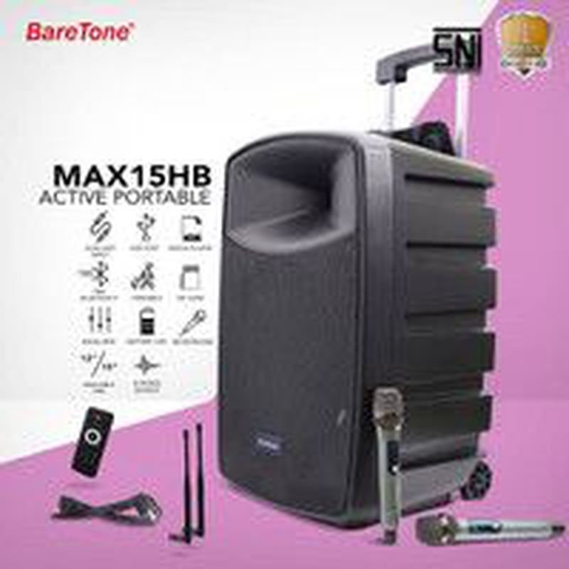 Amplifier BARTONE Max 15HB with speaker