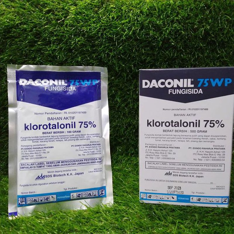 Fungisida Daconil 75 WP