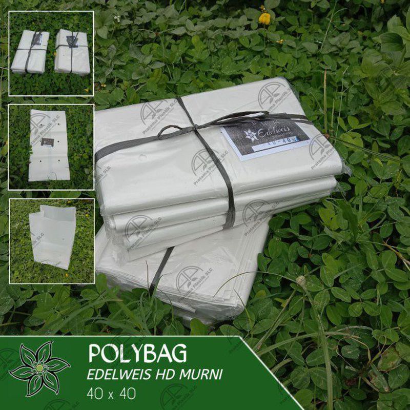polybag putih
