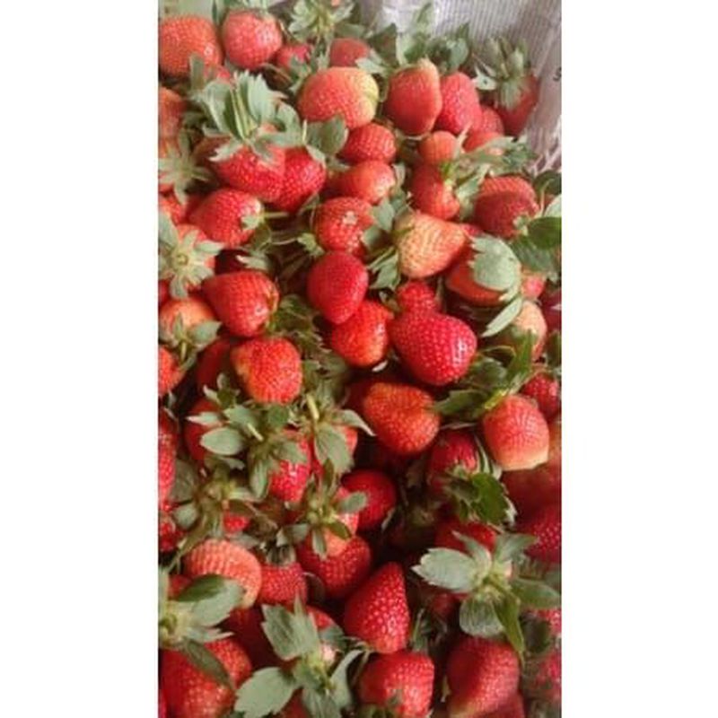 Strawberry 1kg