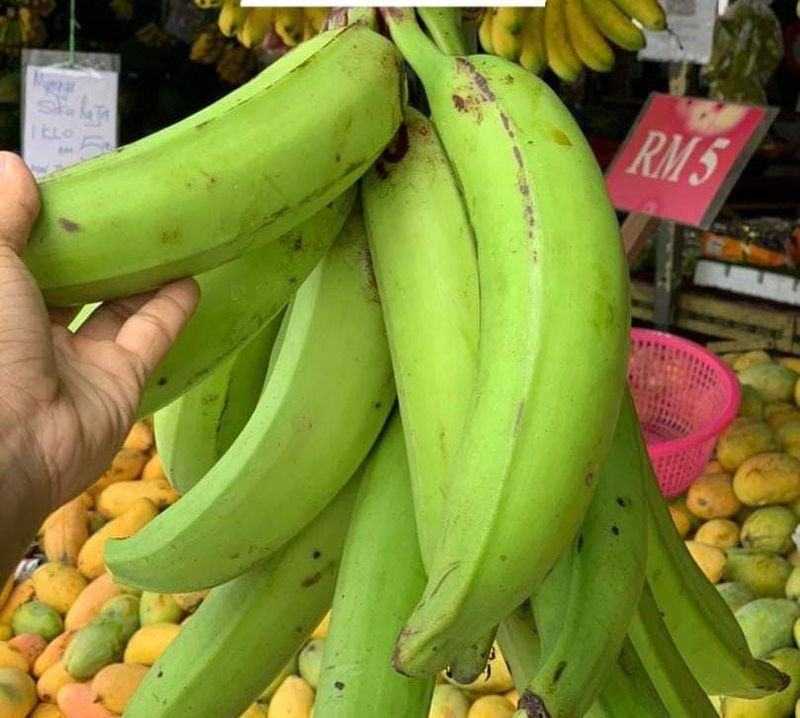 Pisang tanduk