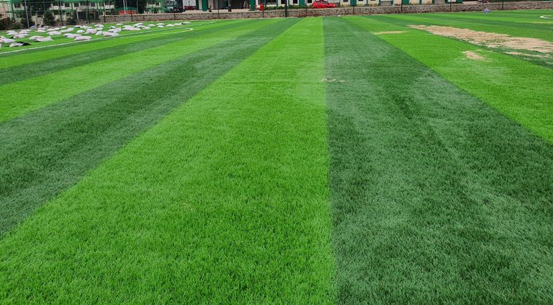 Rumput Sintetis Lapangan Futsal / mini soccer + Pasang Tebal 3 cm + Cat ...