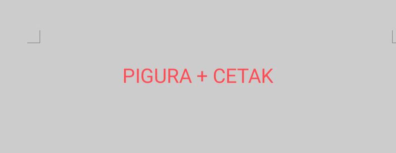 PIGORA + CETAK