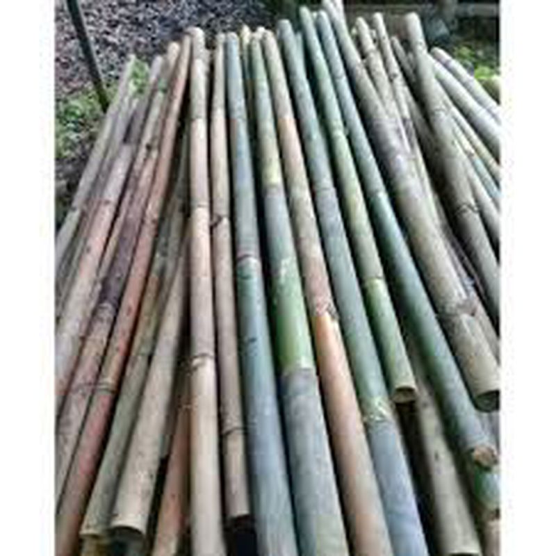 bambu