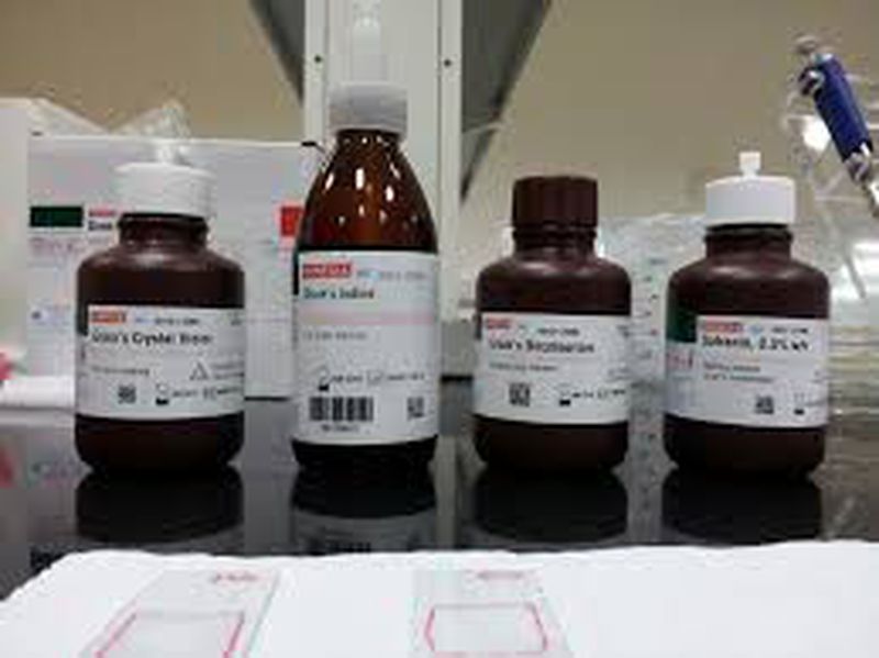 Gram Stain Kit (contains S012, S032, S013 and S027/S038)