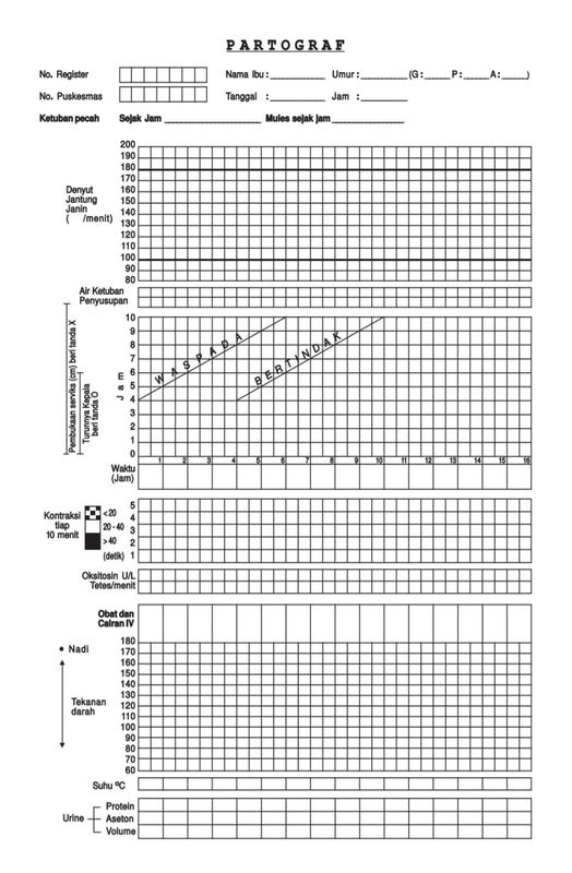 Partograf. Pkm Mlandingan