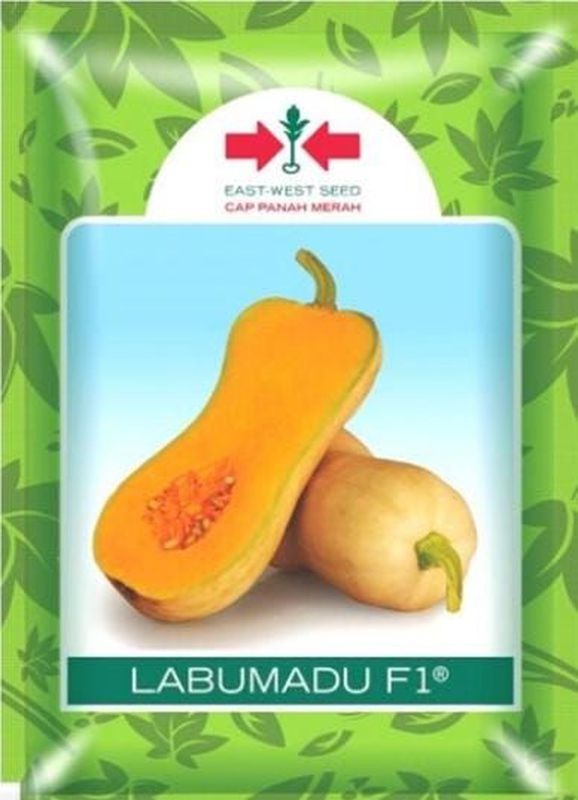 bibit labu madu cap panah merah