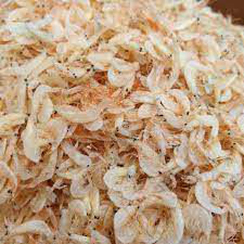 udang rebon