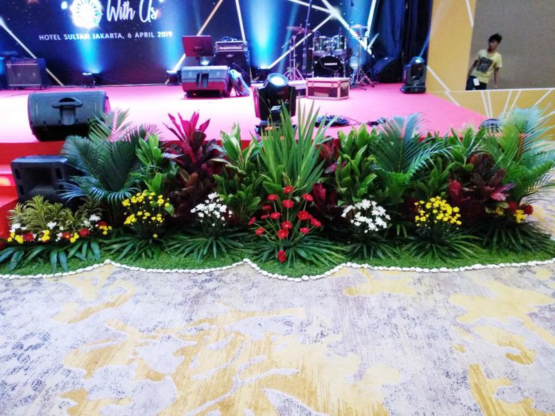 Dekorasi Tanaman Hidup