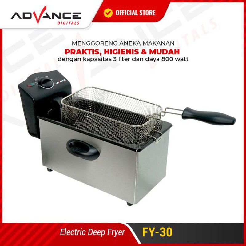 Electric Deep Fryer