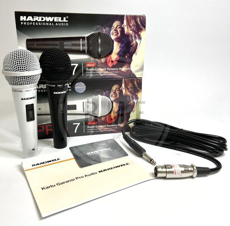 Mic Plus Kabel Audio