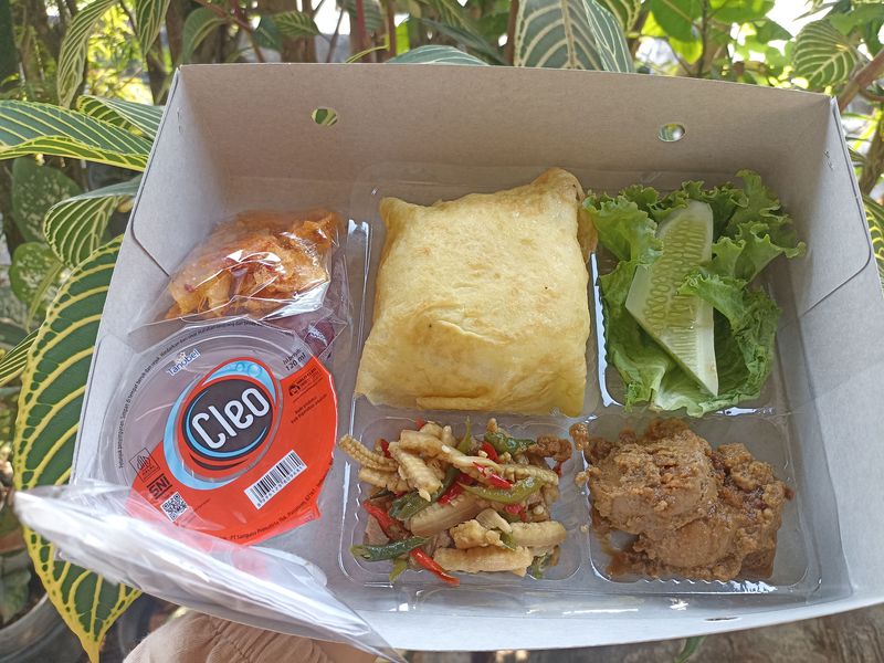 Nasi box