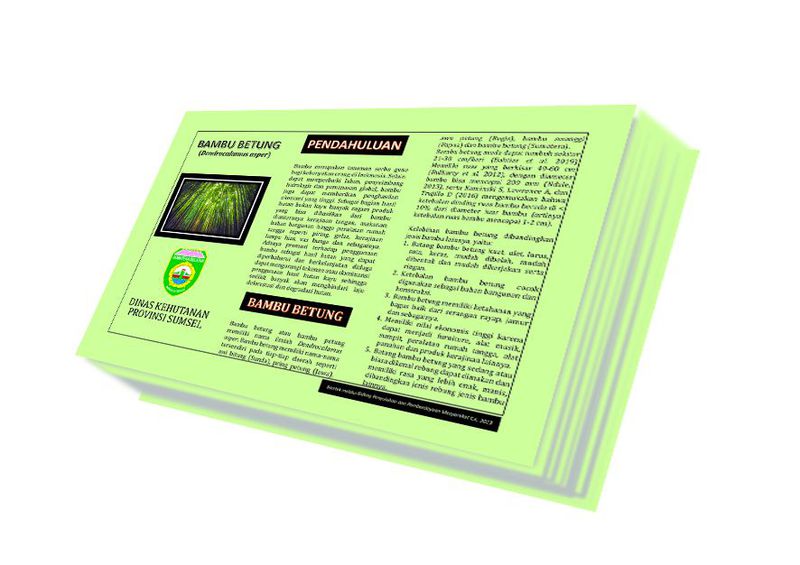 Jasa Cetak Leaflet per RIM