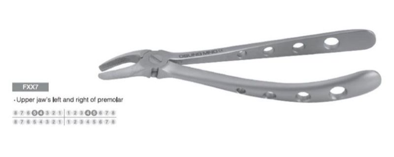 EXTRACTION FORCEP FXX13
