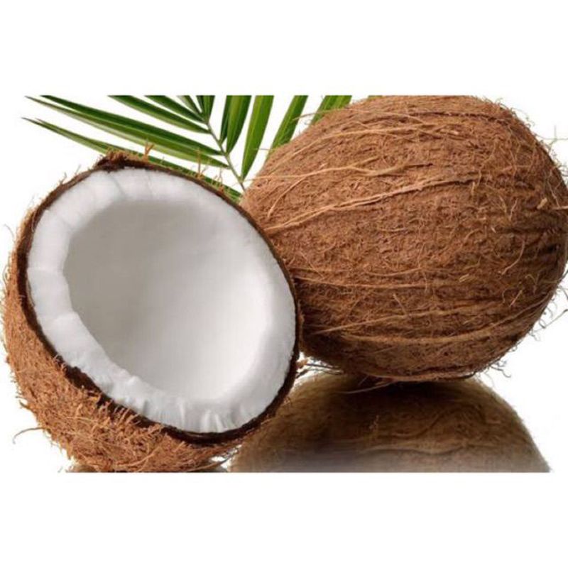 Kelapa