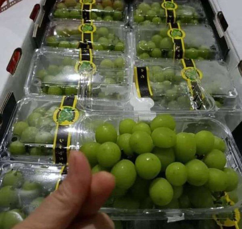 Anggur Hijau Shine Muscat Premium (pack)