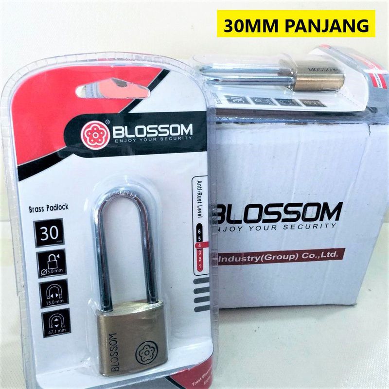 Gembok Standart 30 mm