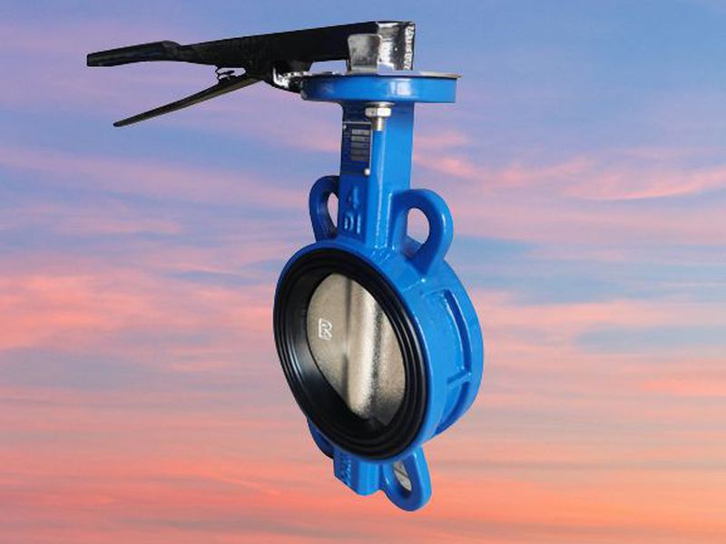 Butterfly Valve with Bare Shaft