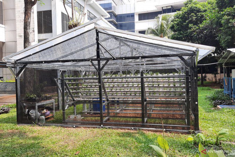 Pembuatan Rumah Tanaman