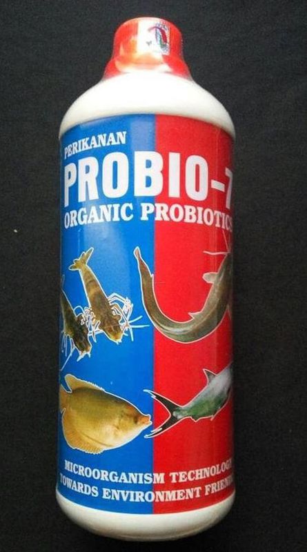 PROBIOTIK