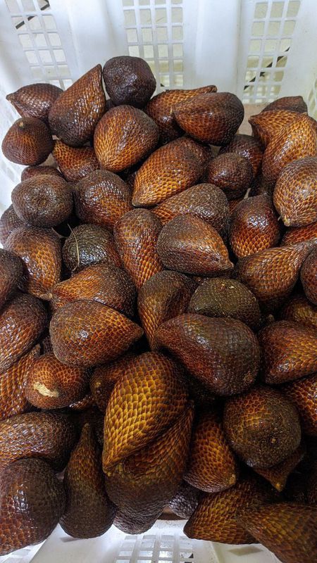 Salak Gula Pasir