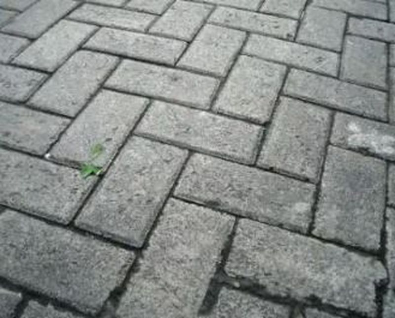 Paving Block