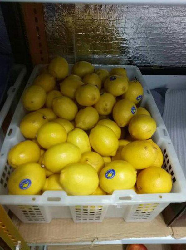 Jeruk Lemon