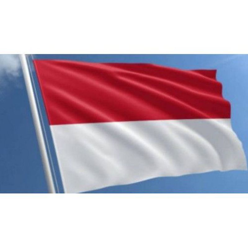 Bendera Merah Putih