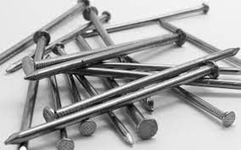 Paku biasa Ukuran 5 Inchi