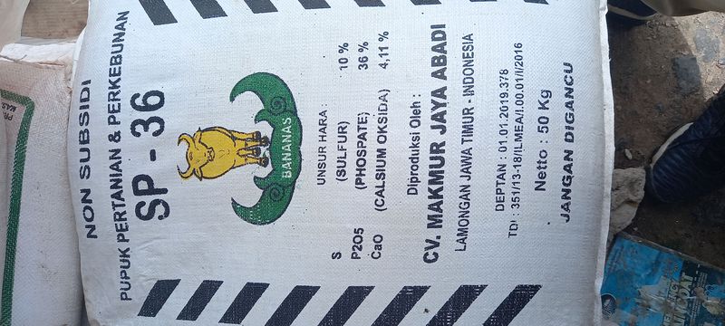 Pupuk SP 36 Kemasan 50 Kg