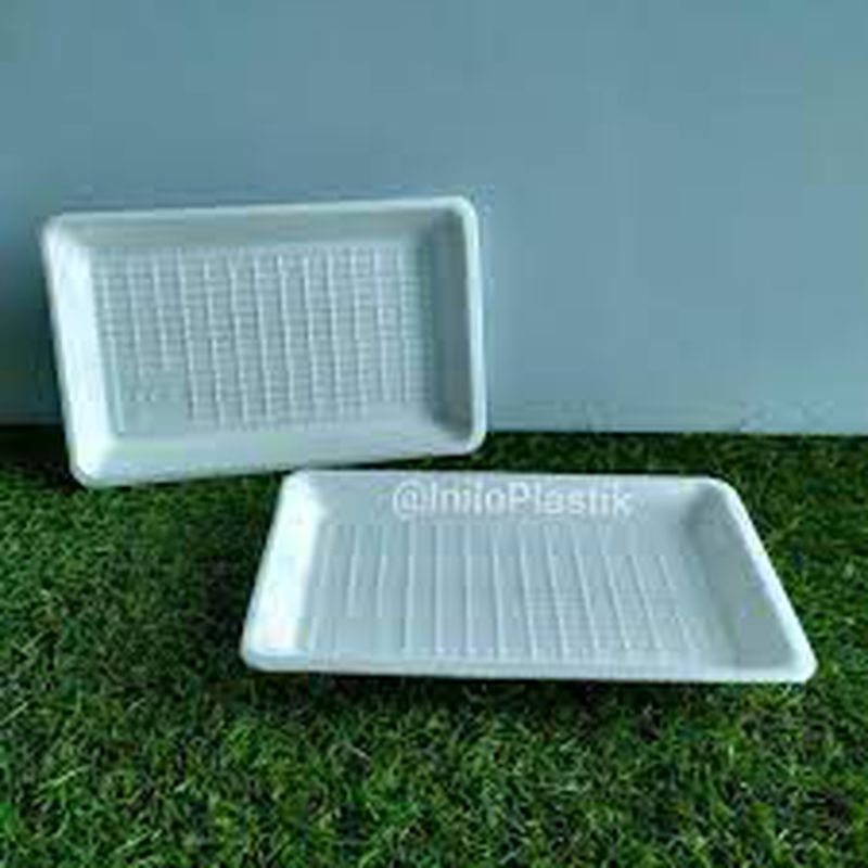 STYROFOAM BUAH 20x15