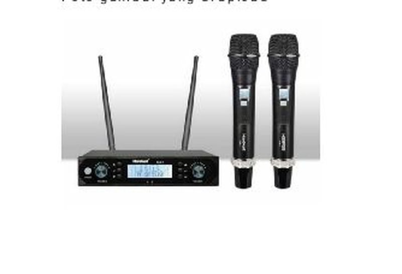 Microphone Wireless Mic