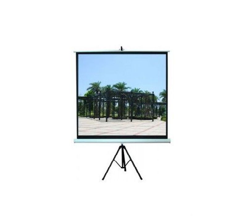 Layar Proyektor Tripod 84 Inch