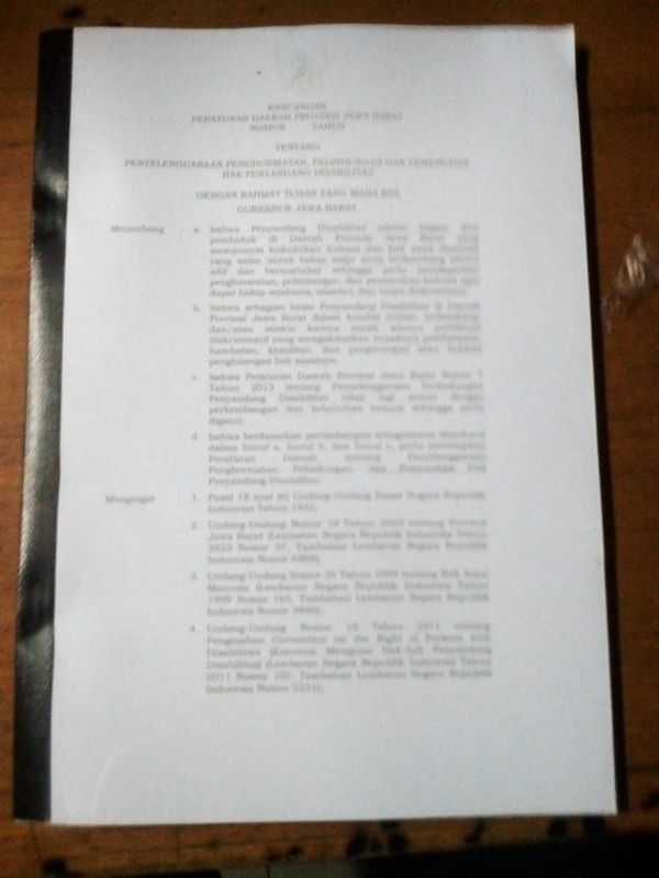 cetak buku Perda disabilitas