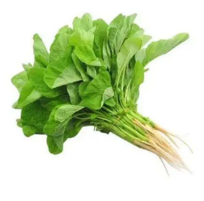 Sayur Bayam