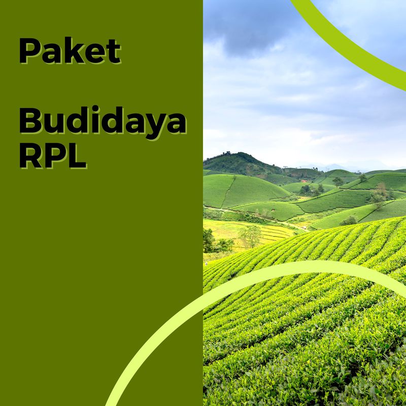 PAKET Budidaya RPL